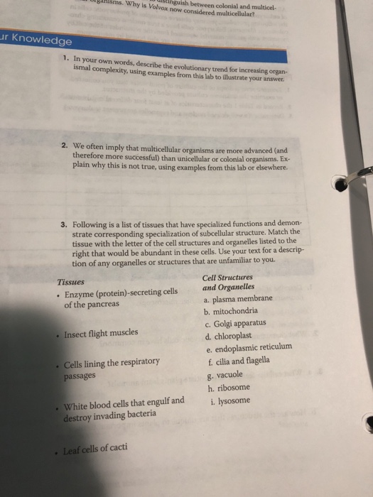 Solved Bihlišms. Why is Volvox now considered multicellular? | Chegg.com