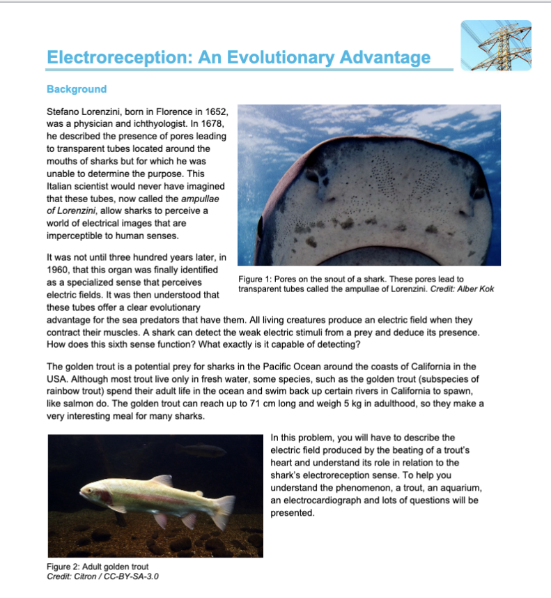 Solved The Shark’s Sense of ElectroreceptionElectric Field | Chegg.com