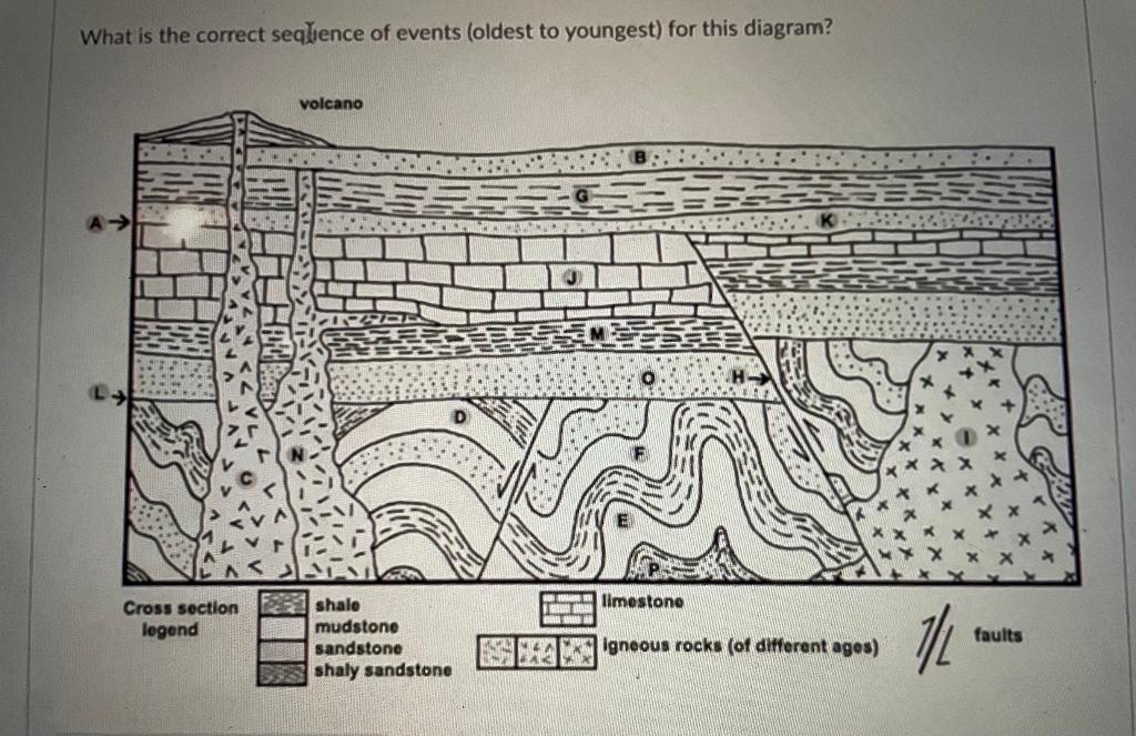 Solved What is the correct sequence of events (oldest to | Chegg.com