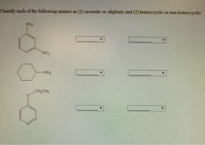 Solved Classify each of the following amines as (1) aromatic | Chegg.com
