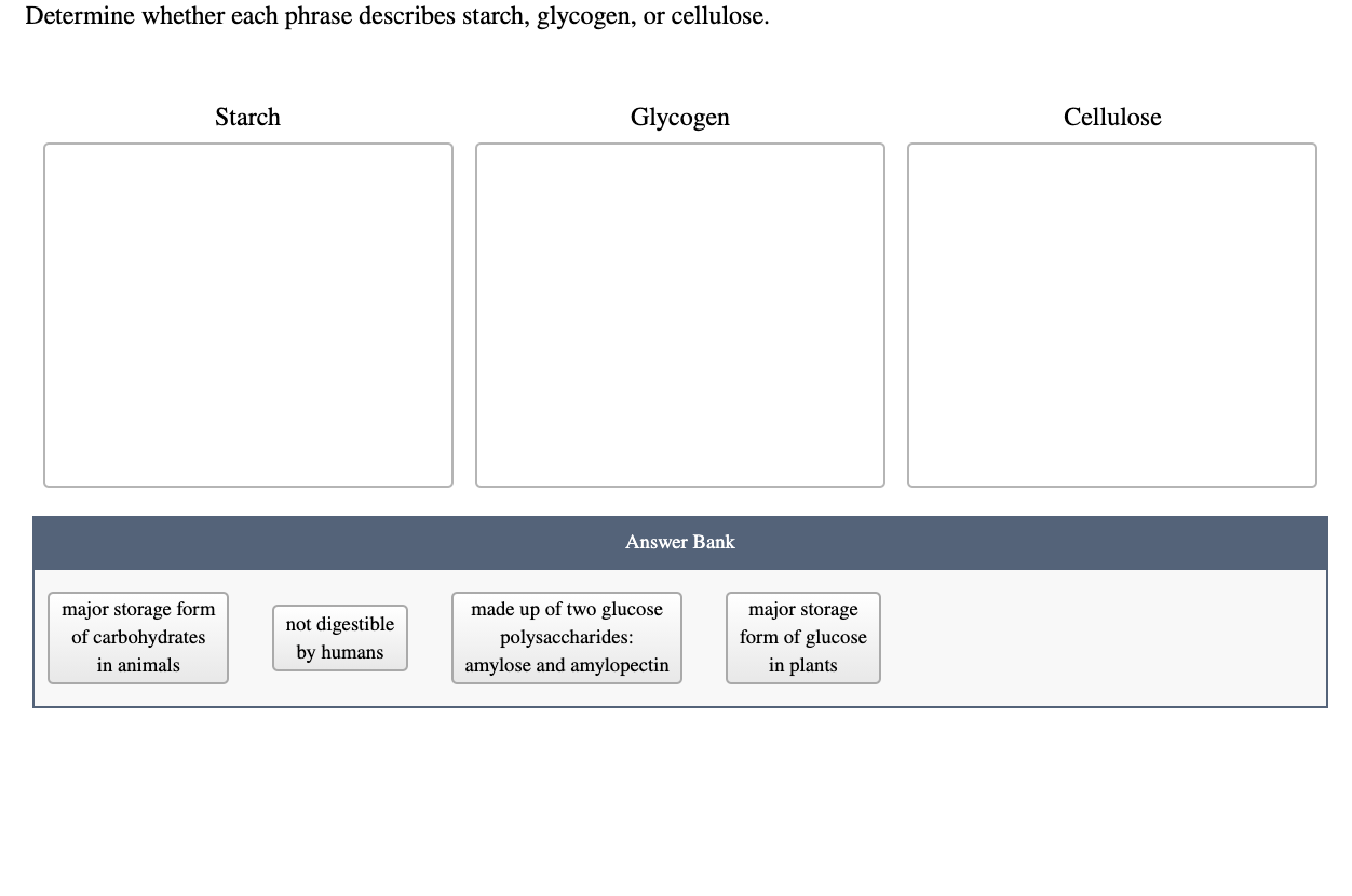 Solved Determine whether each phrase describes starch, | Chegg.com