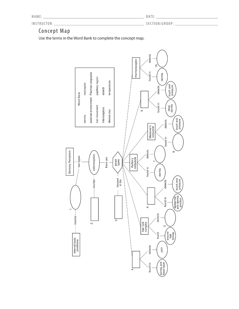 Solved NAME: DATE: INSTRUCTOR: SECTION/GROUP: Concept Map | Chegg.com
