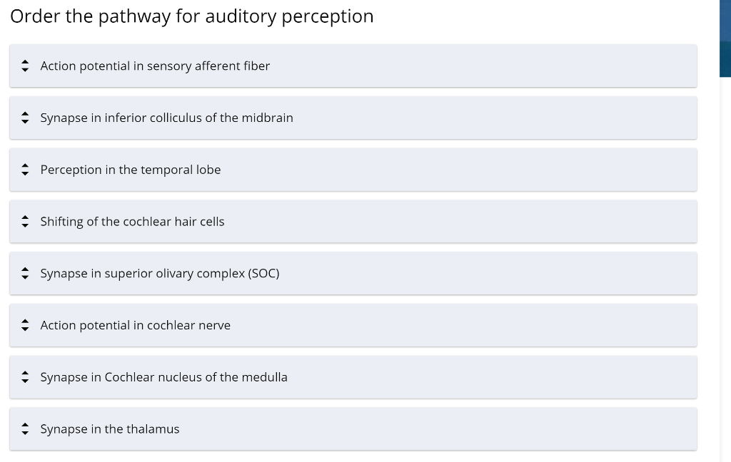 Solved Order the pathway for auditory perception • Action | Chegg.com