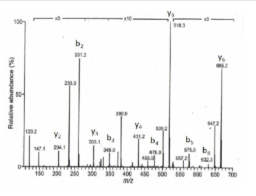 Determine the peptide sequence (using the 1 letter | Chegg.com
