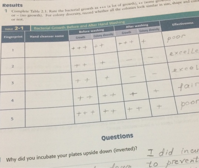 Solved Results Complete Table 2.1. Rate the bacterial growth | Chegg.com