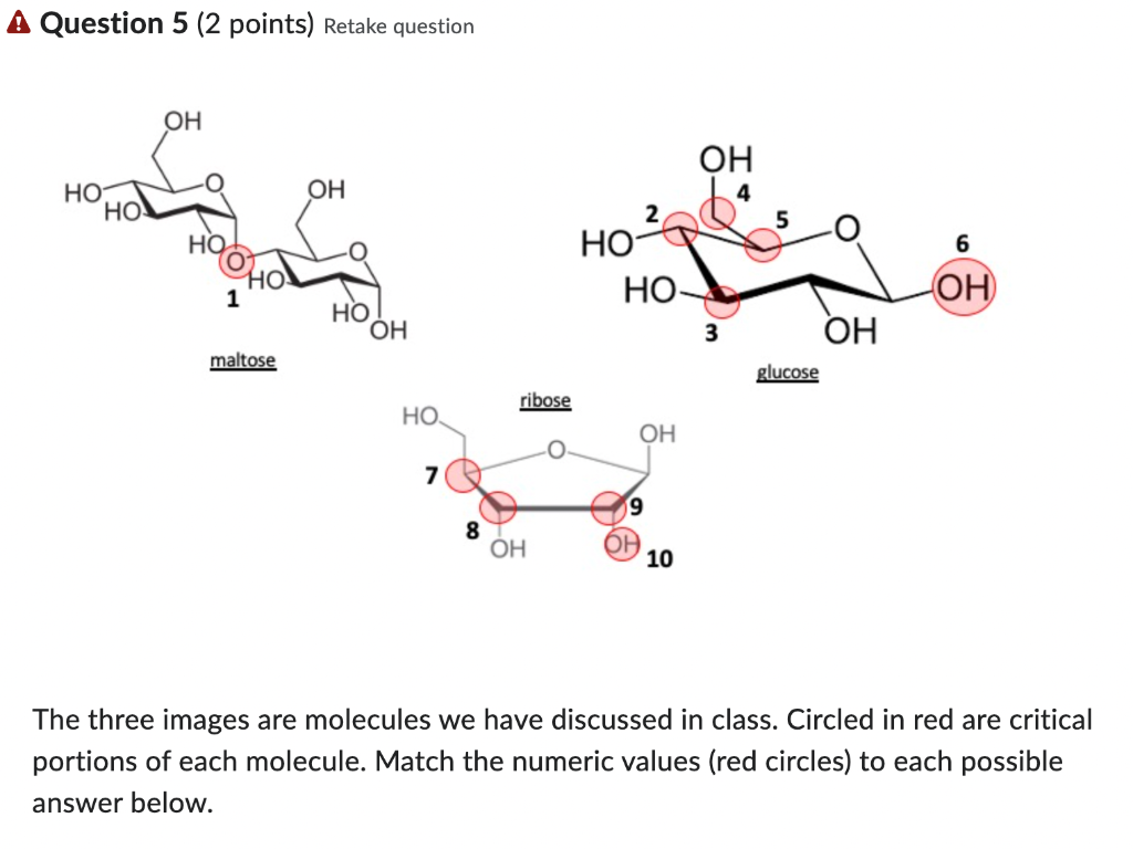 Solved A Question 5 (2 points) Retake question The three | Chegg.com