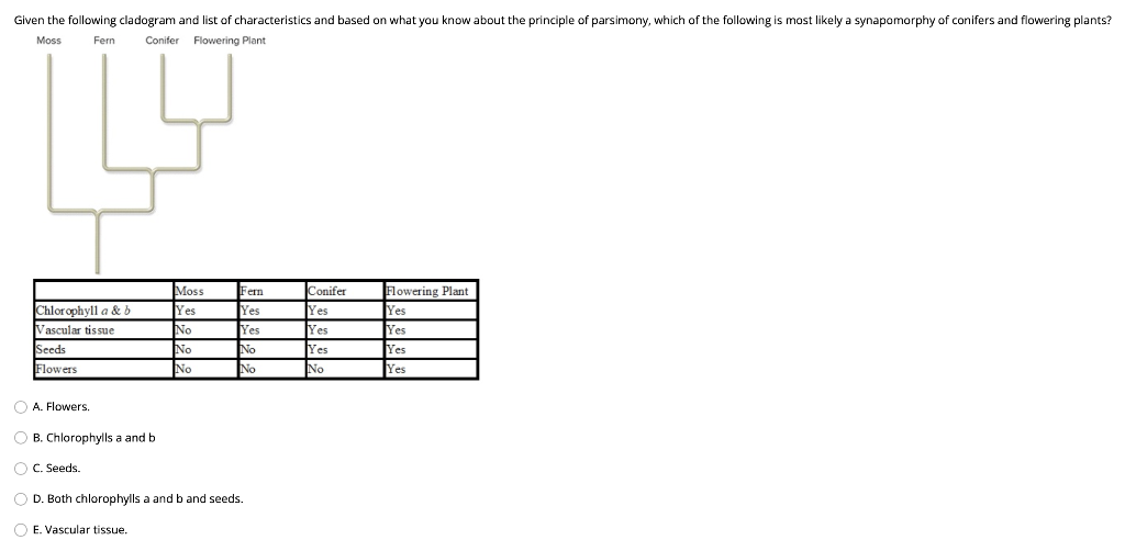 Solved Given the following cladogram and list of | Chegg.com