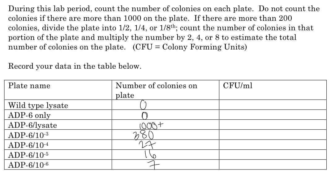 Solved During this lab period, count the number of colonies | Chegg.com