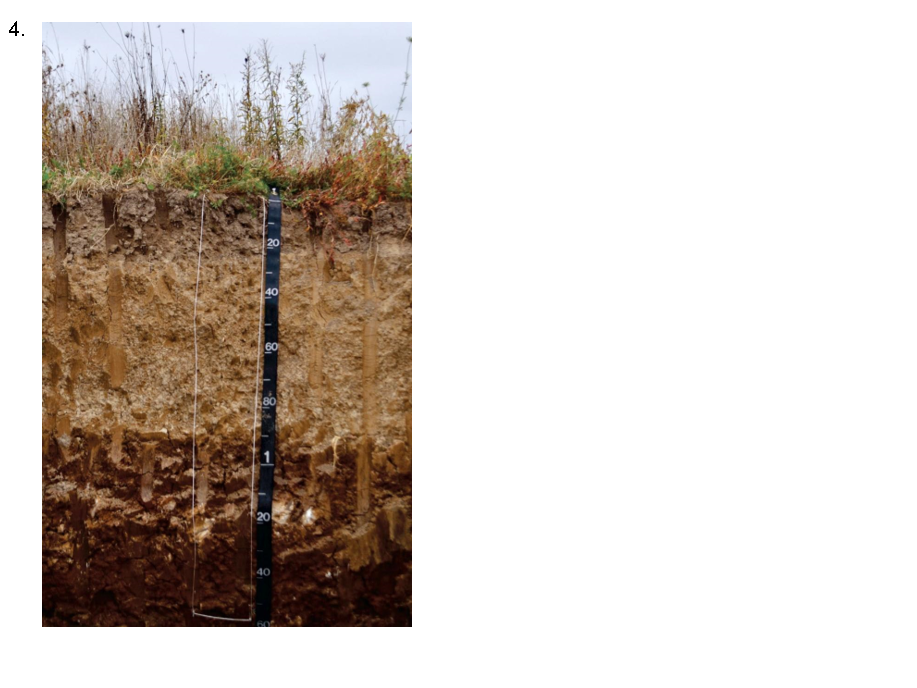 Solved For the following soil profile images, label the | Chegg.com
