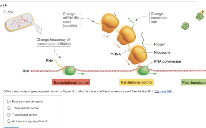 Solved Of the three modes of gene regulation shown in | Chegg.com