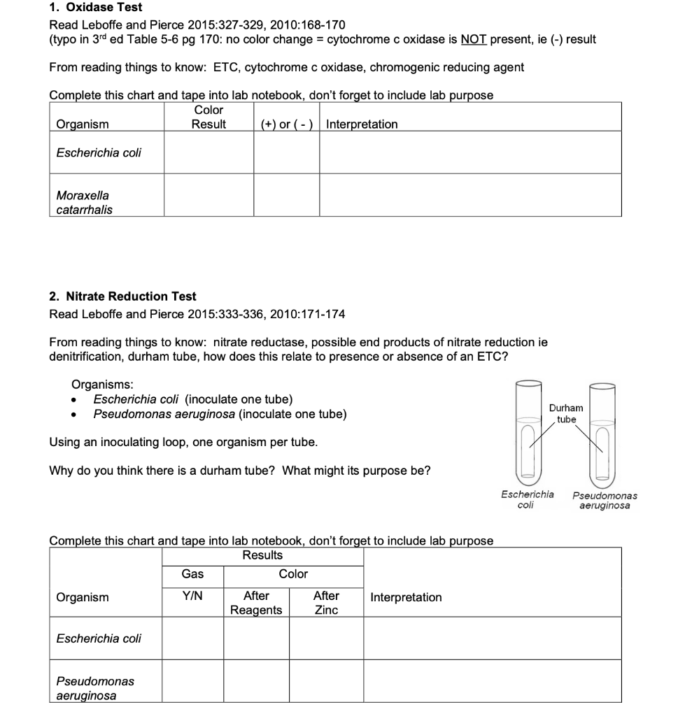 1. Oxidase Test Read Leboffe and Pierce 2015:327-329, | Chegg.com