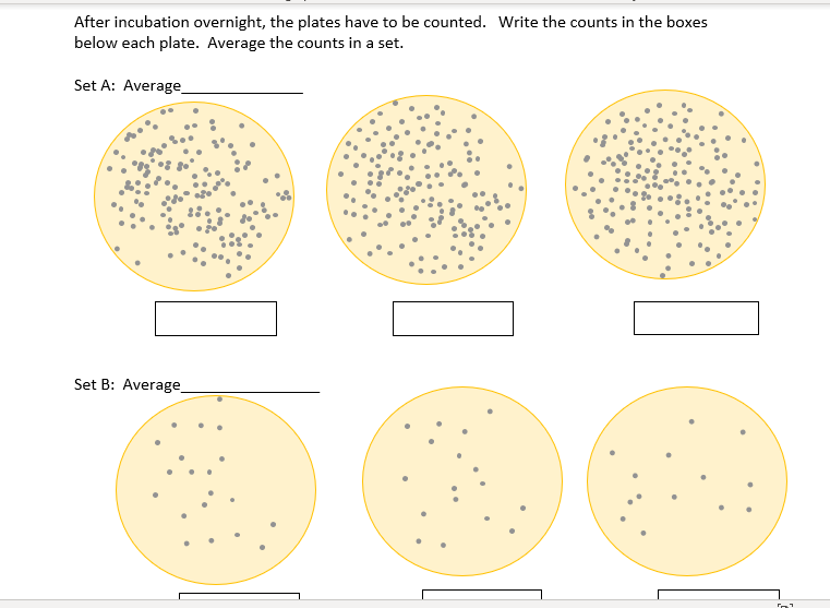 Solved Part I: Calibrating CFU/ml with Optical Density at | Chegg.com
