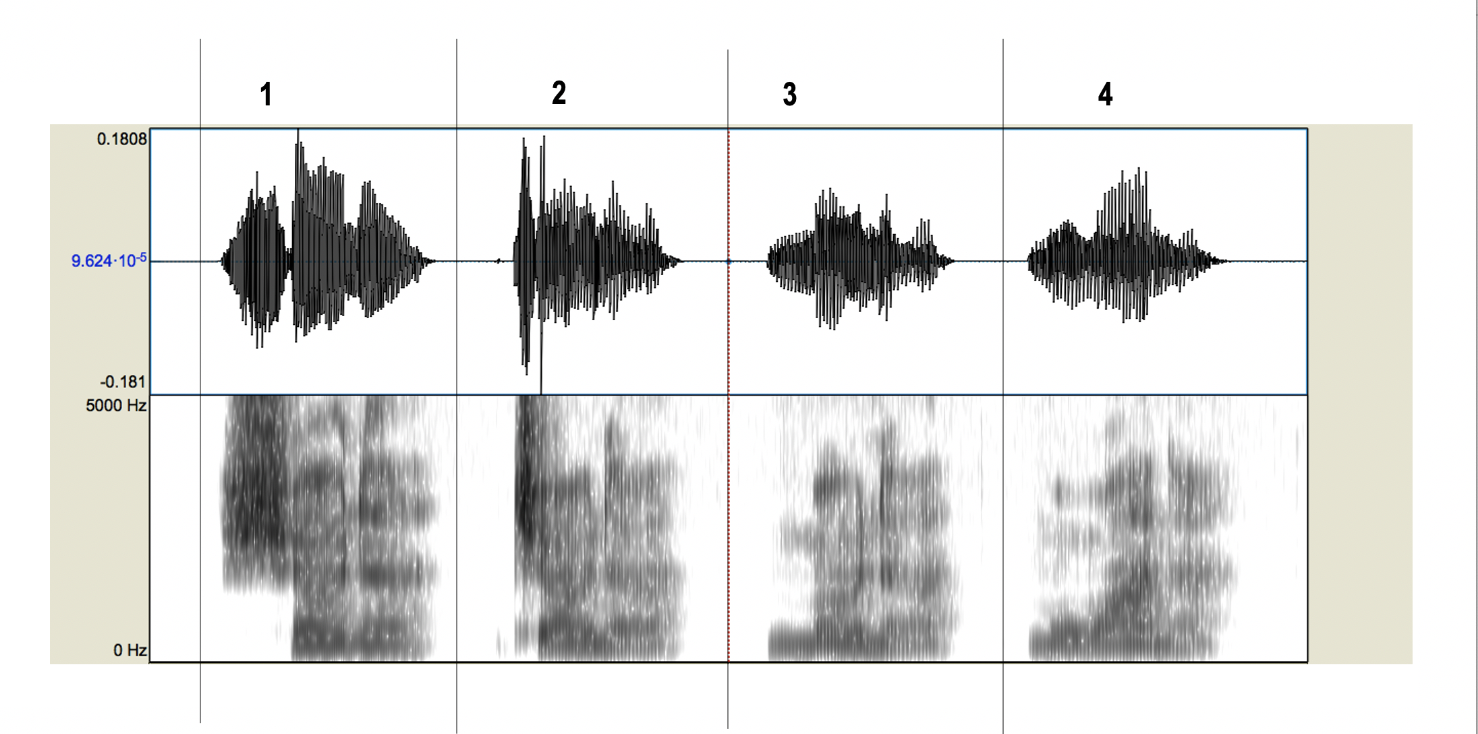Solved Question 3 spectrogram B: a) Examine spectrogram B. | Chegg.com