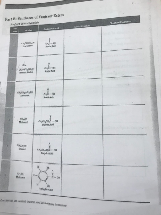 Solved Name Lab Partner Lab Section PRELABORATORY 9 Date | Chegg.com Solved Name Lab Partner Lab Section PRELABORATORY 9 Date | Chegg.com