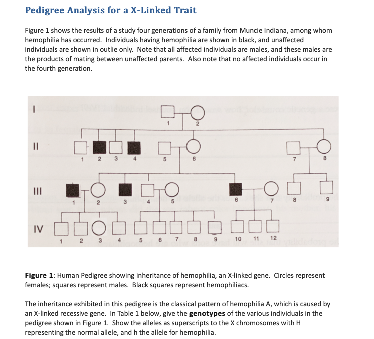 Solved Pedigree Analysis for a X-Linked Trait Figure 1 shows | Chegg.com