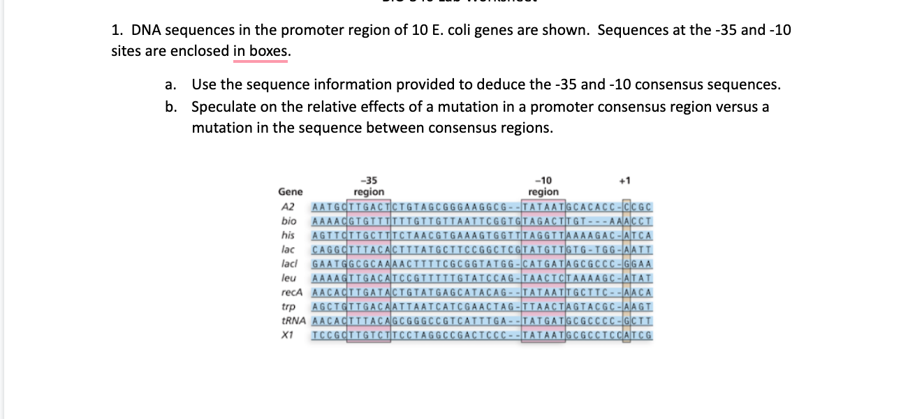 Solved DNA sequences in the promoter region of 10 E. | Chegg.com