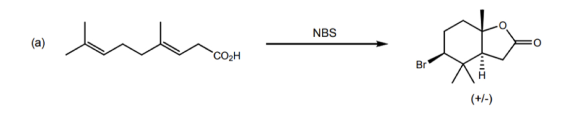 Solved (a) NBS (+/−) | Chegg.com