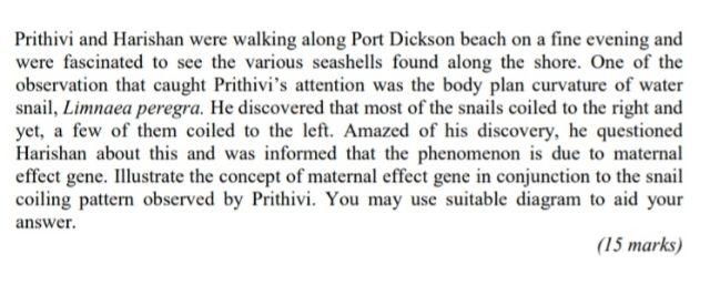 Solved Prithivi and Harishan were walking along Port Dickson | Chegg.com