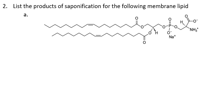 Solved 2. List the products of saponification for the | Chegg.com