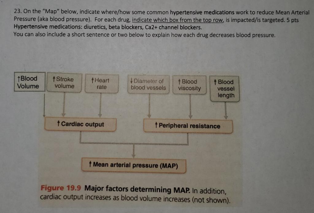 Solved 23. On the "Map" below, indicate where/how some | Chegg.com