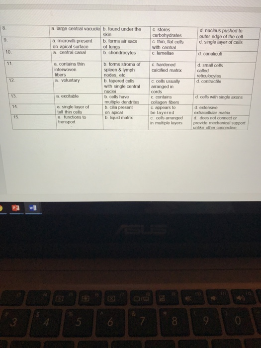 Solved Layout References Mailings Review View Help Tell Me