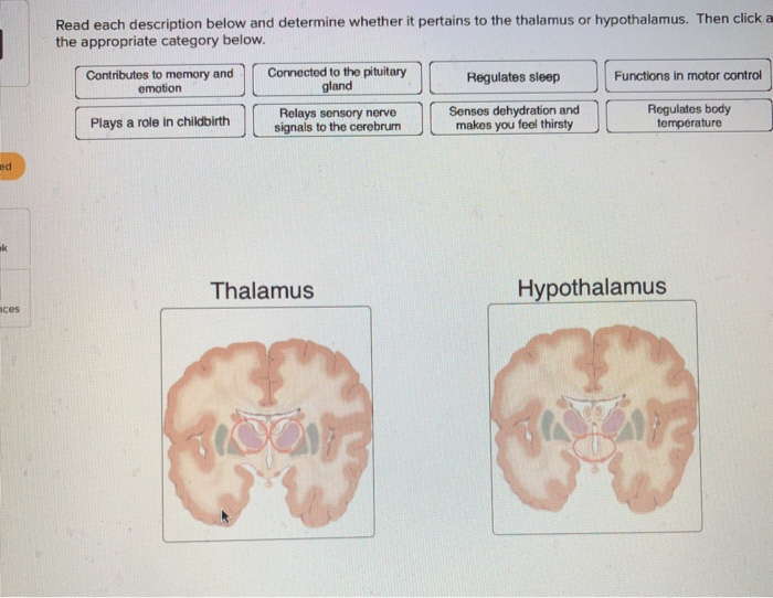 Solved Read each description below and determine whether it | Chegg.com