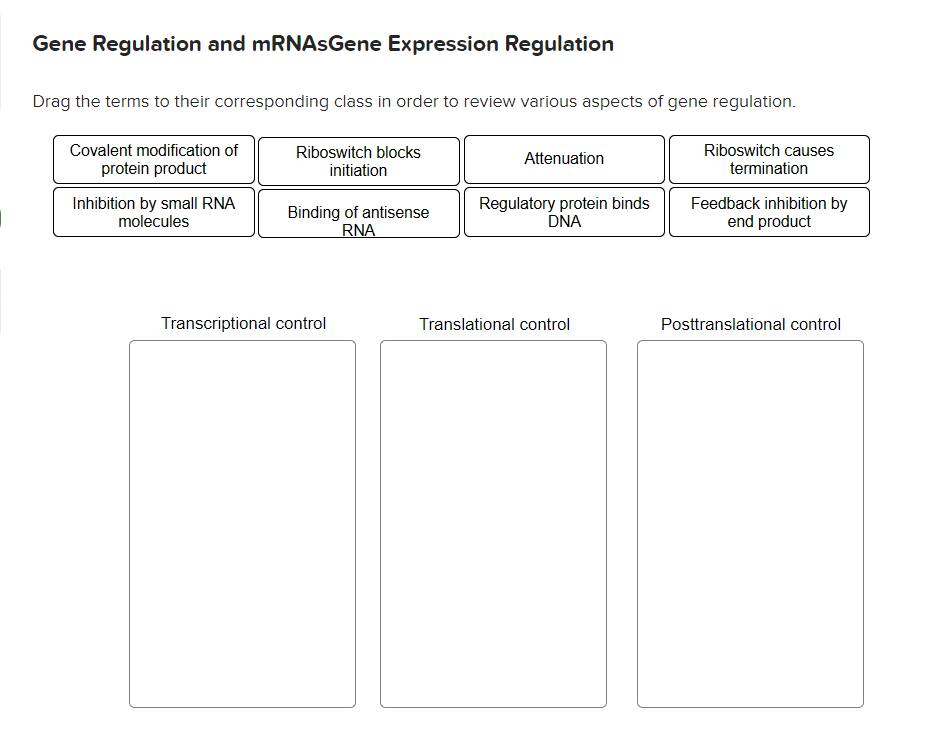 Solved Gene Regulation and mRNAsGene Expression Regulation | Chegg.com