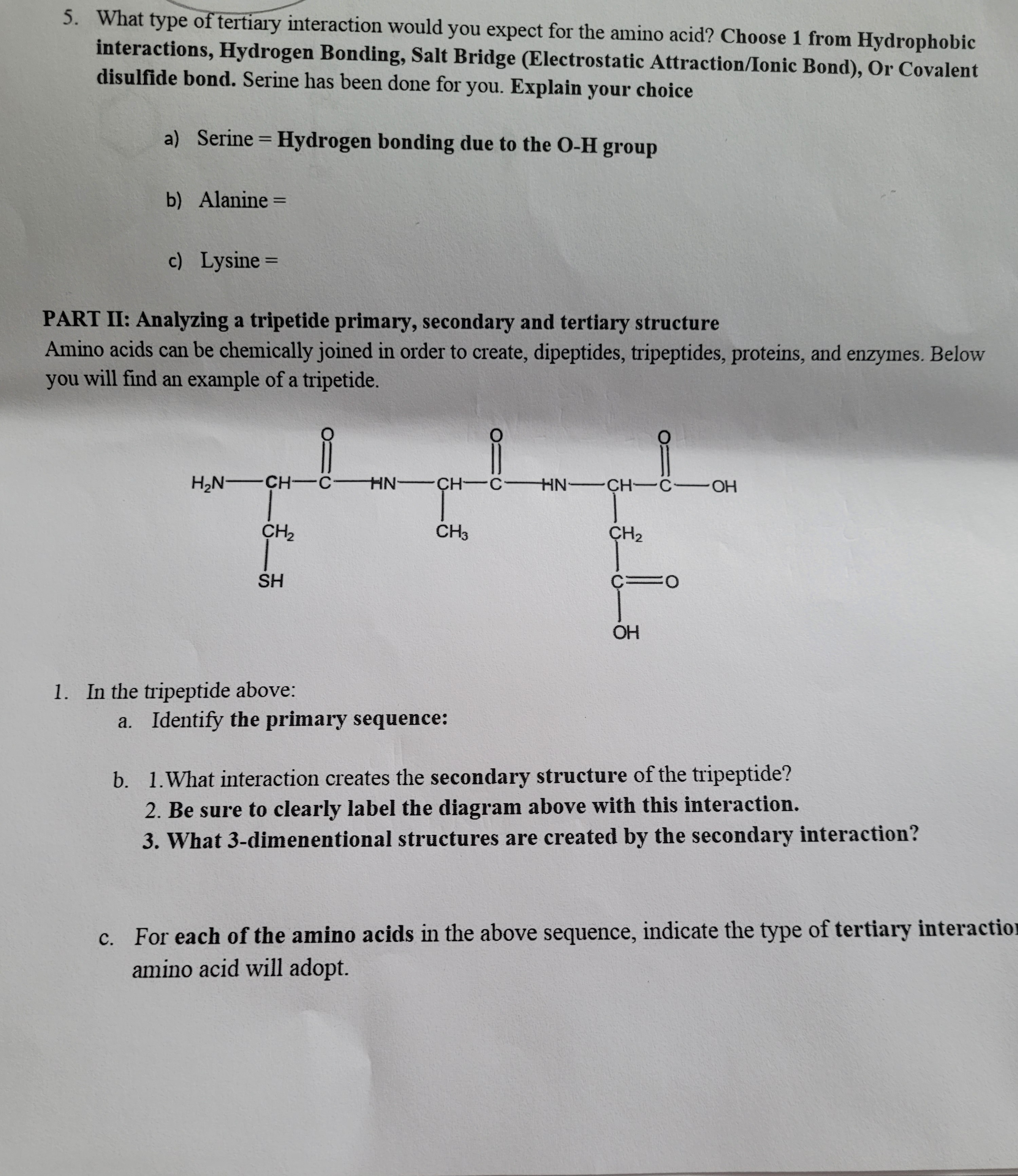 Solved What type of tertiary interaction would you expect | Chegg.com