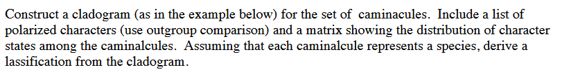 Solved Construct a cladogram (as in the example below) for | Chegg.com