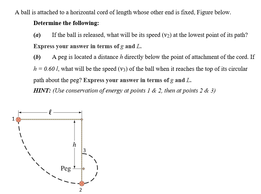 Solved A ball is attached to a horizontal cord of length | Chegg.com