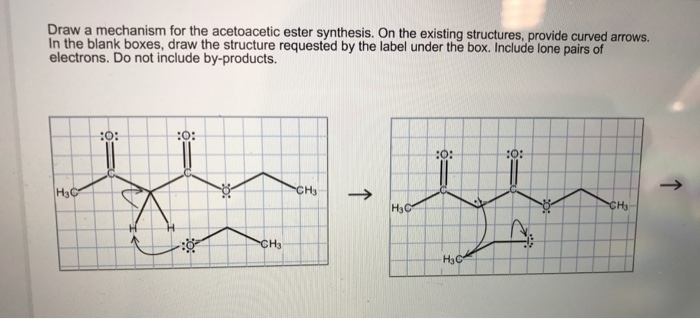 Solved Draw a mechanism for the acetoacetic ester synthesis. | Chegg.com