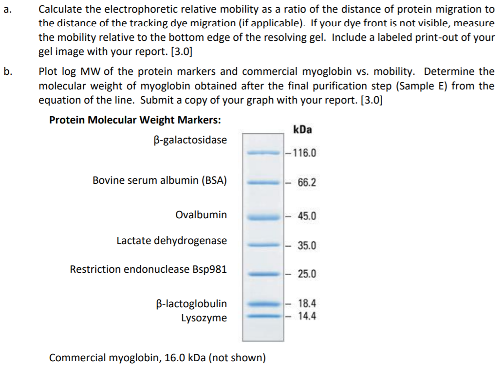Solved b. Calculate the electrophoretic relative mobility | Chegg.com
