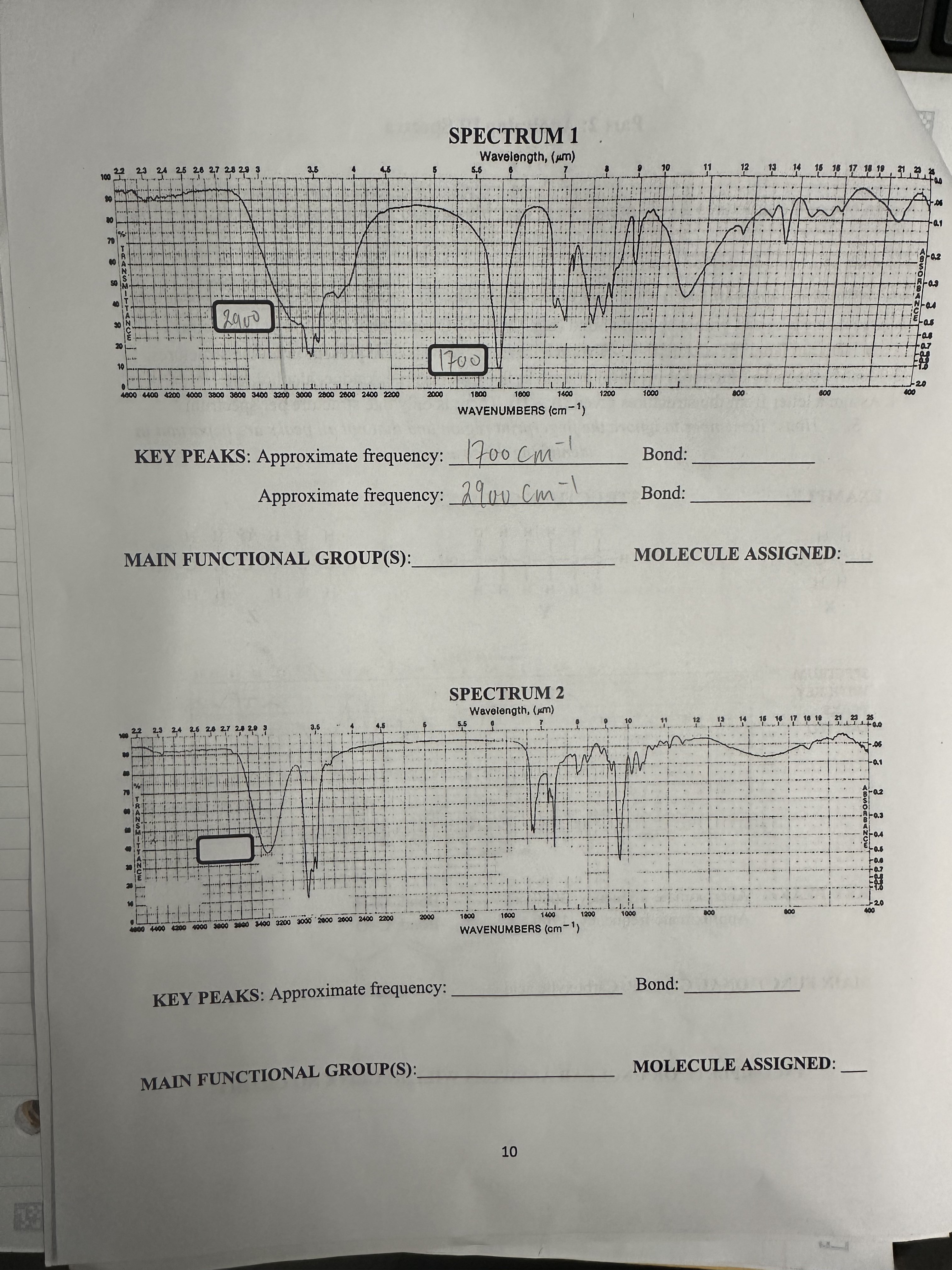 Solved KEY PEAKS: Approximate frequency: 1700cm-1 | Chegg.com