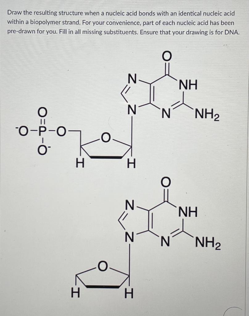Solved Draw the resulting structure when a nucleic acid | Chegg.com