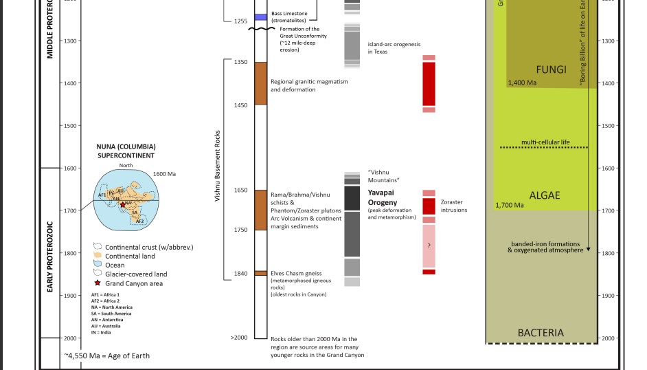 Solved Geologic Timeline of the Grand CanyonBased on the | Chegg.com