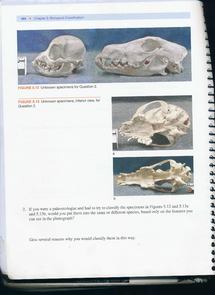 Solved 164 Chapter 5: Biological Classification FIGURE 5.12 | Chegg.com