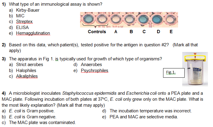 Solved 1) What type of an immunological assay is shown? a) | Chegg.com