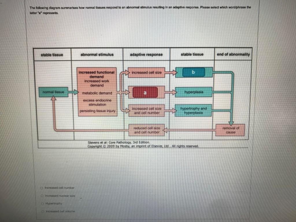Solved The following diagram summarises how normal tissues | Chegg.com