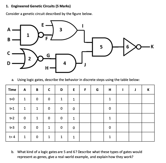 Solved 1. Engineered Genetic Circuits (5 Marks) Consider a | Chegg.com