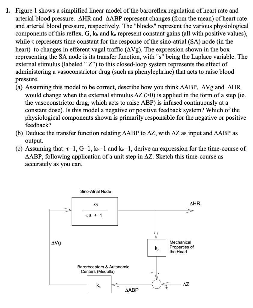 1. Figure 1 shows a simplified linear model of the | Chegg.com