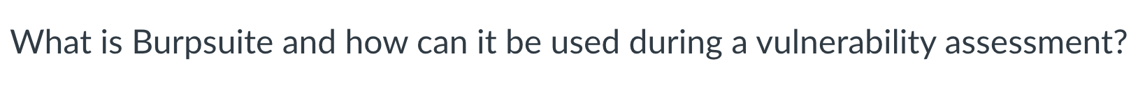Solved What is Burpsuite and how can it be used during a | Chegg.com
