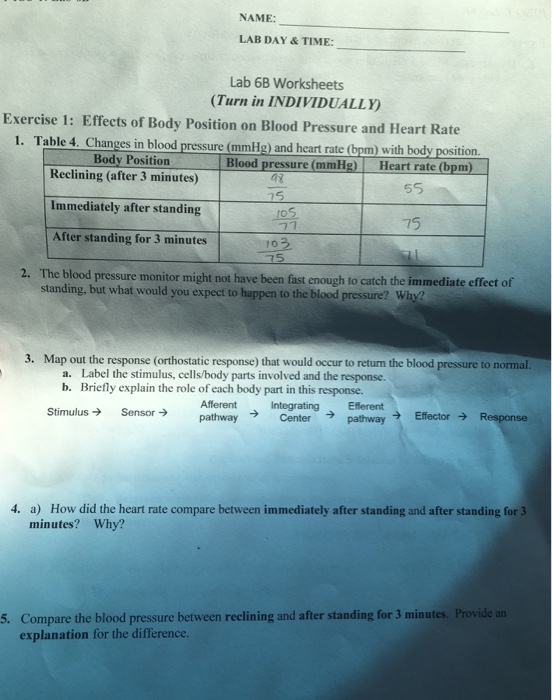 Solved NAME LAB DAY & TIME: Lab 6B Worksheets (Turn in | Chegg.com