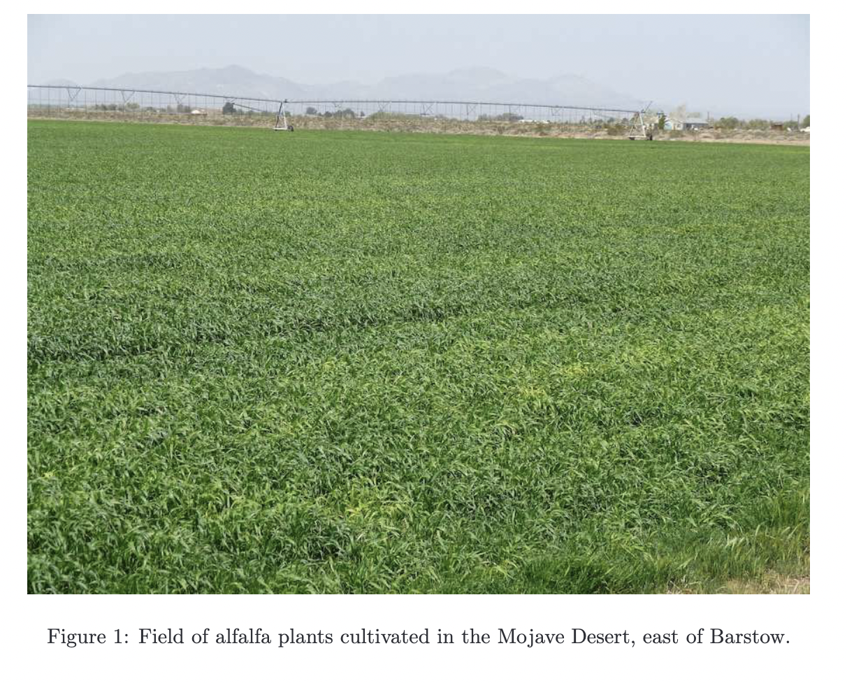 Solved a field of young alfalfa plants surrounded by a flat | Chegg.com