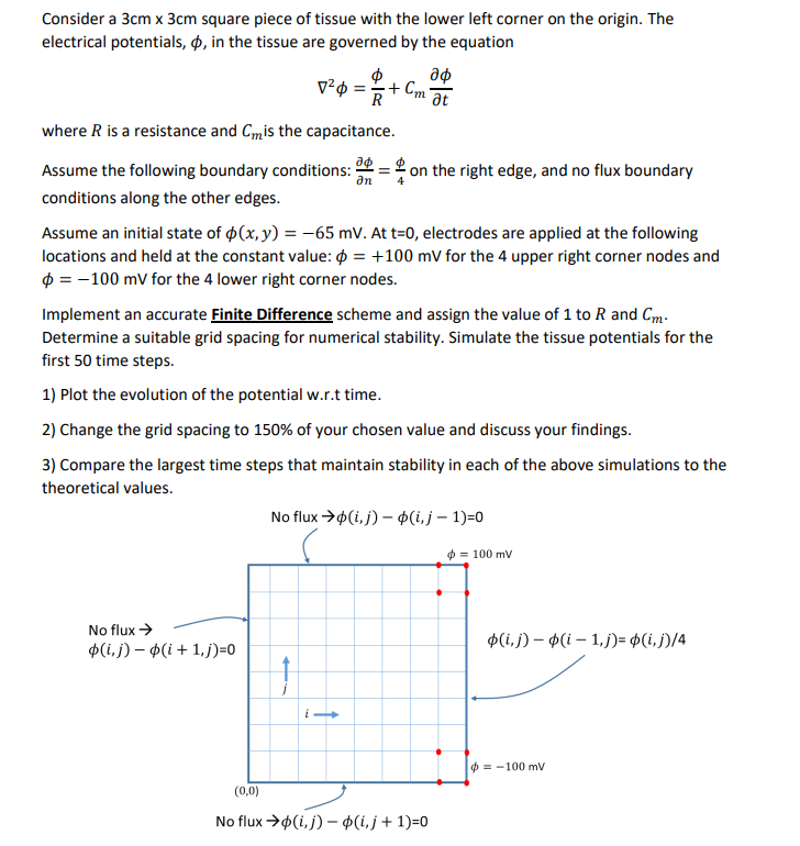 Consider a 3 cm×3 cm square piece of tissue with the | Chegg.com