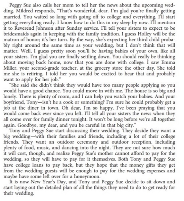 Solved Identify at least 5 risks that could jeopardize the | Chegg.com