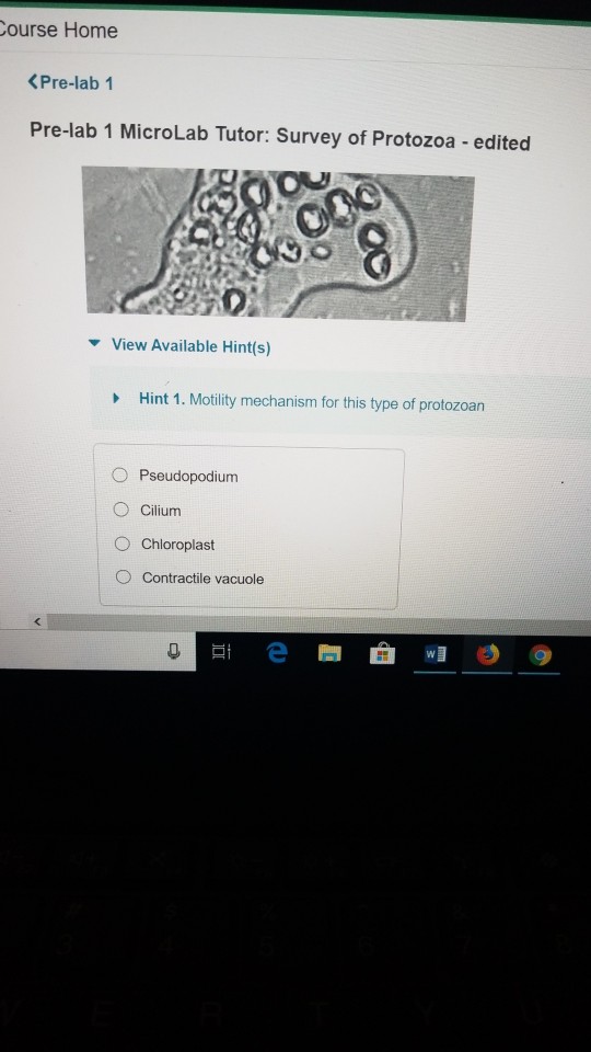 Solved ourse Home KPre-lab 1 Pre-lab 1 MicroLab Tutor: | Chegg.com