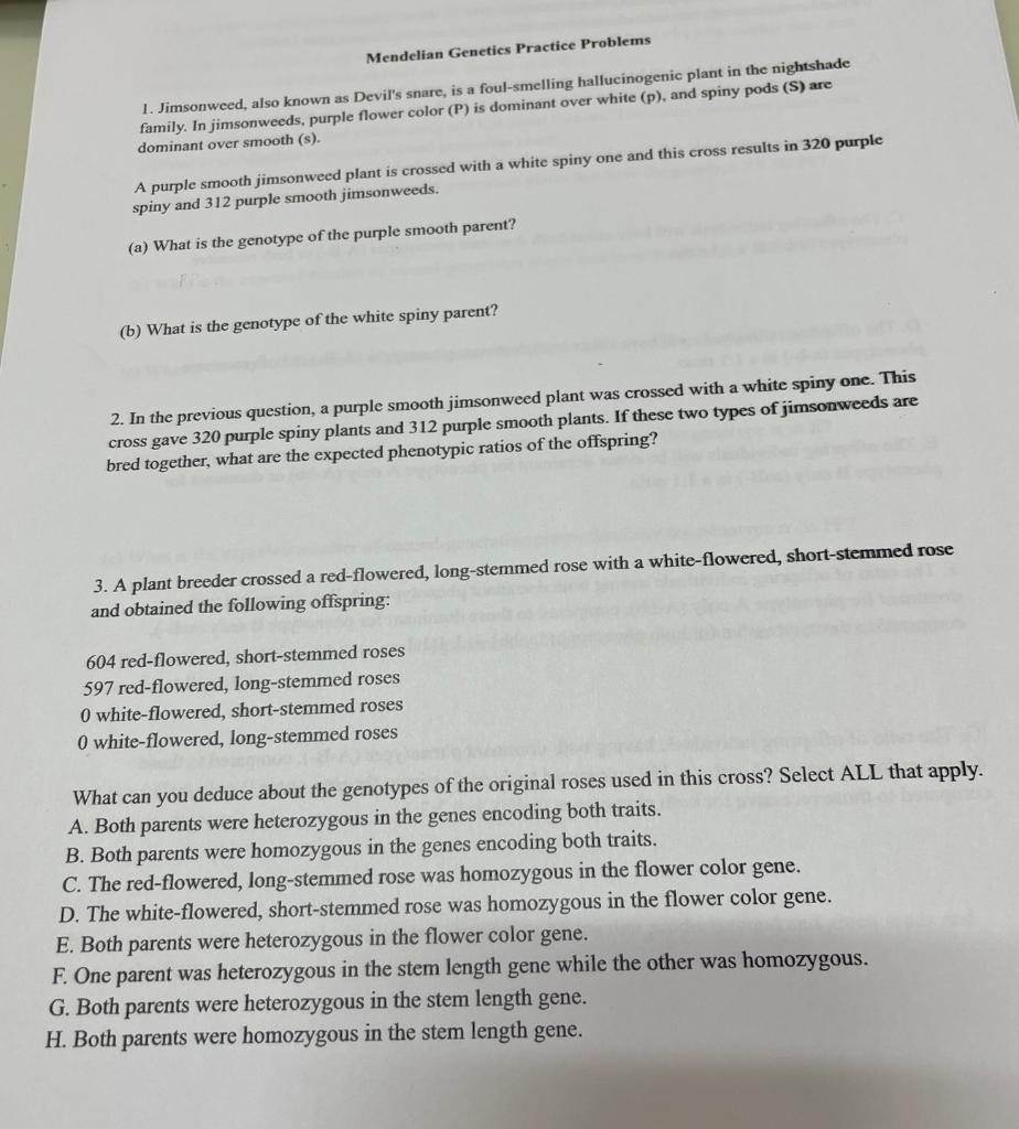Solved Mendelian Genetics Practice Problems 1. Jimsonweed, | Chegg.com