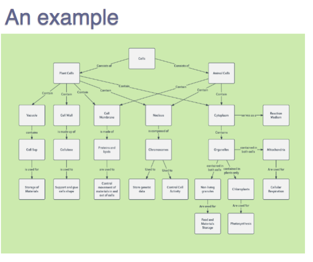 Solved The purpose of this assignment is to garner a better | Chegg.com
