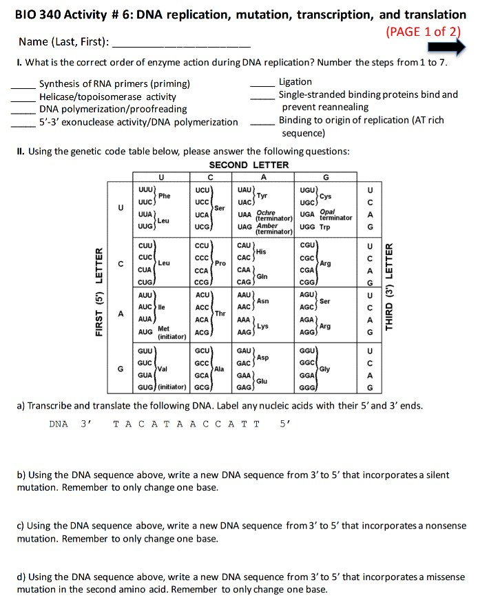 Solved BIO 340 Activity # 6: DNA replication, mutation, | Chegg.com
