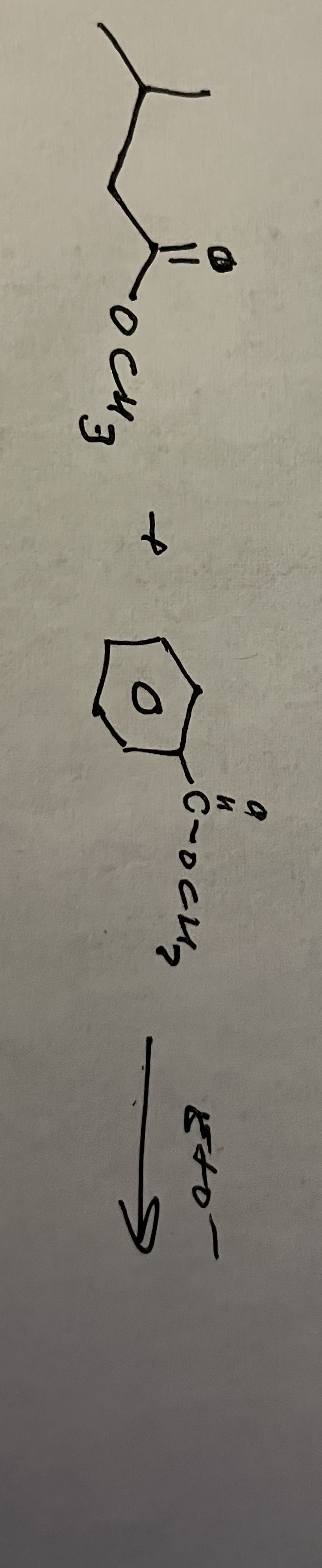 Solved Predict the product | Chegg.com